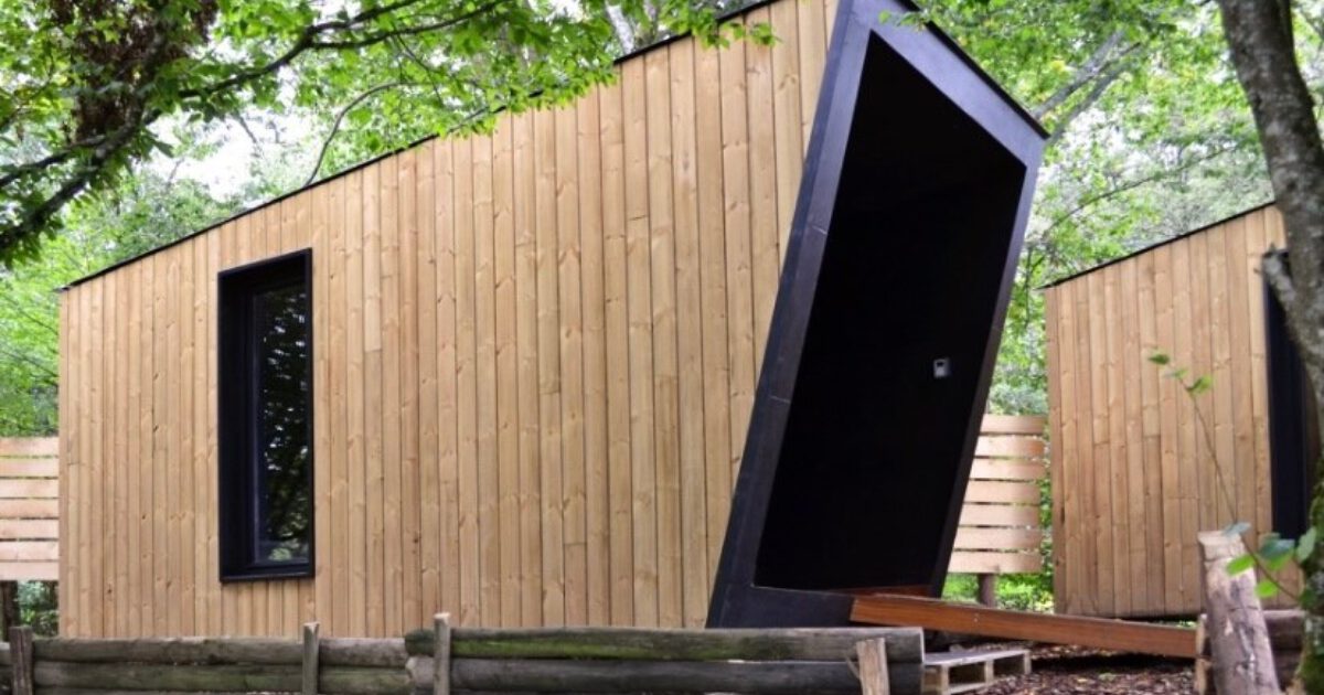 Lignia terras | Hout - Bois van Steenberge