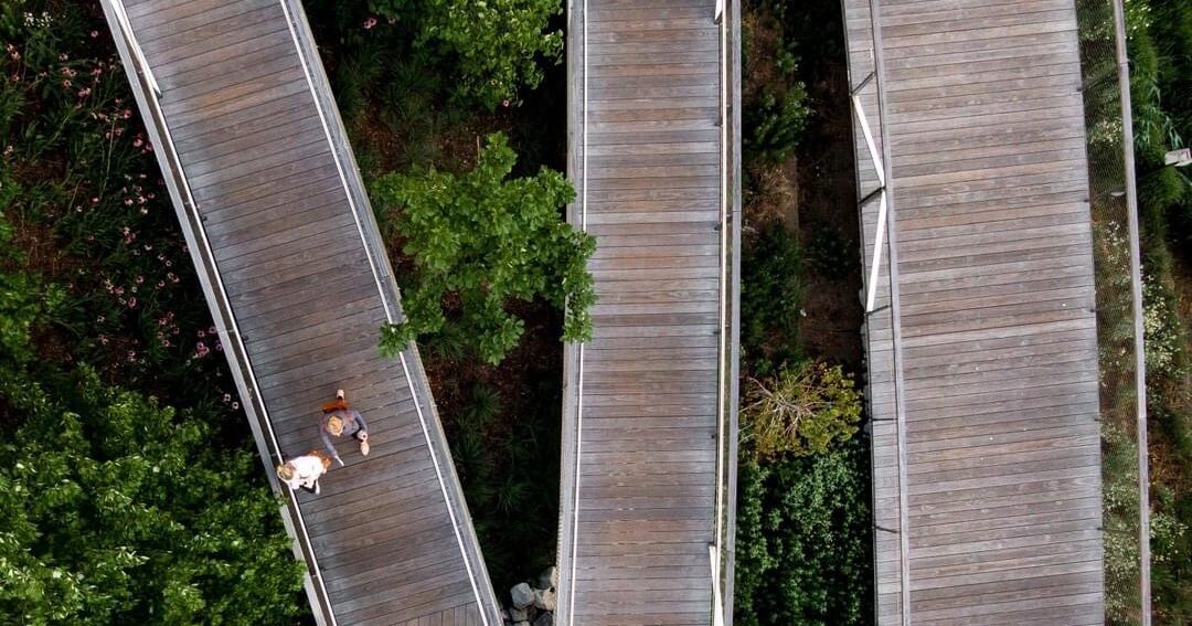 Bio-based modified wood | Hout - Bois van Steenberge