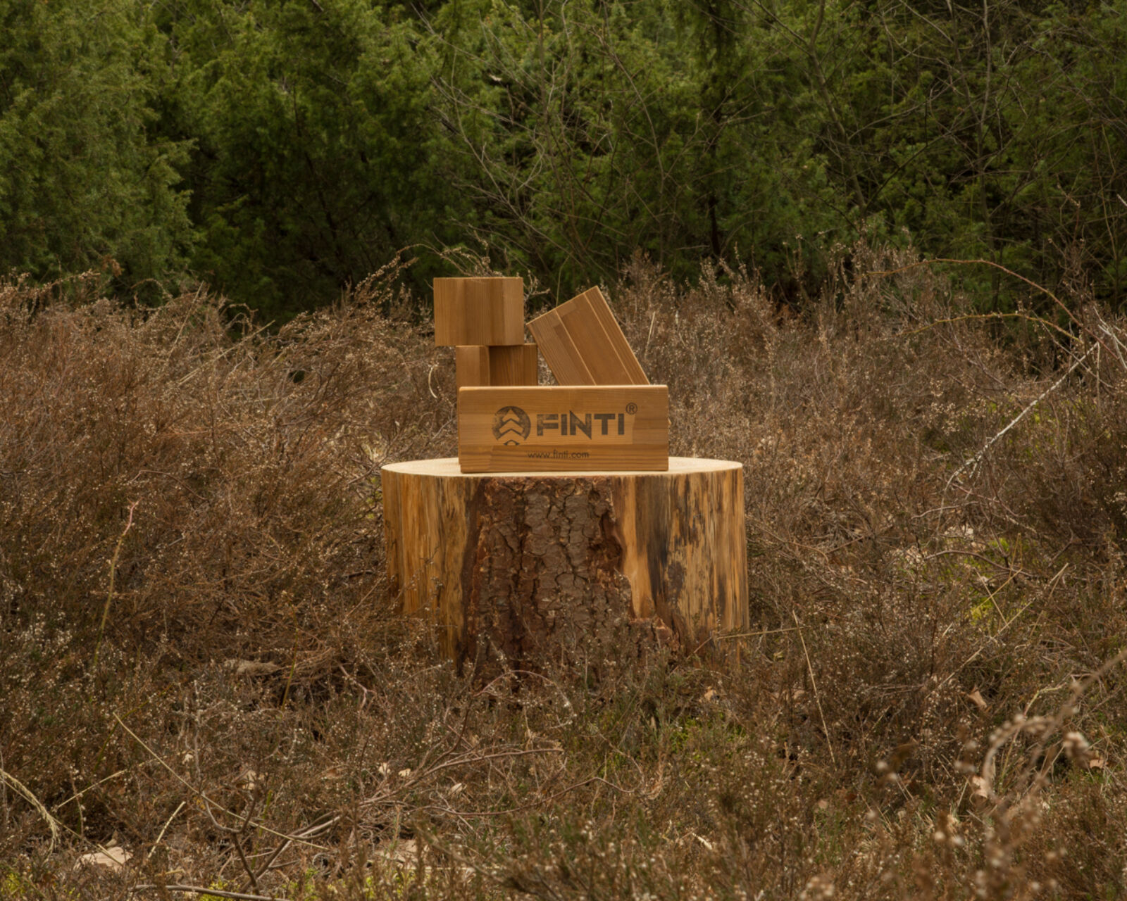 Finti® | Hout - Bois van Steenberge