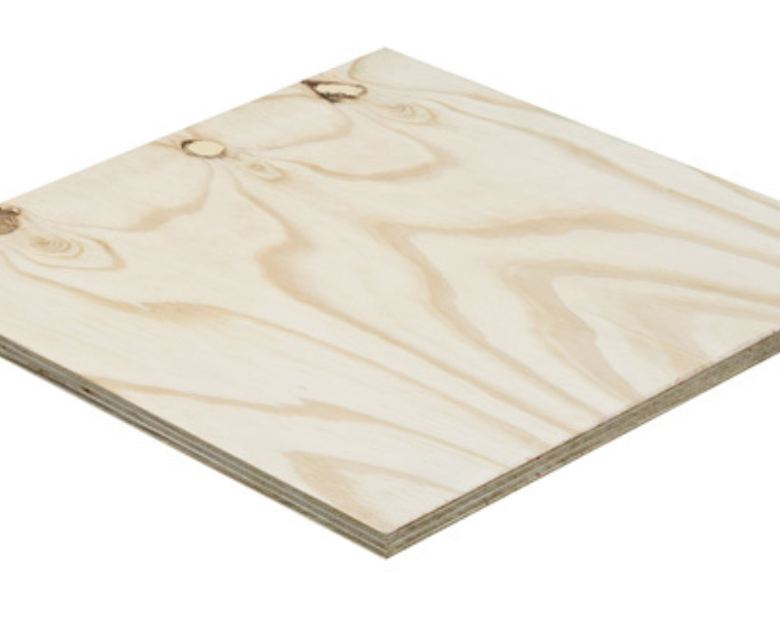 Radiata Pine | Hout - Bois van Steenberge