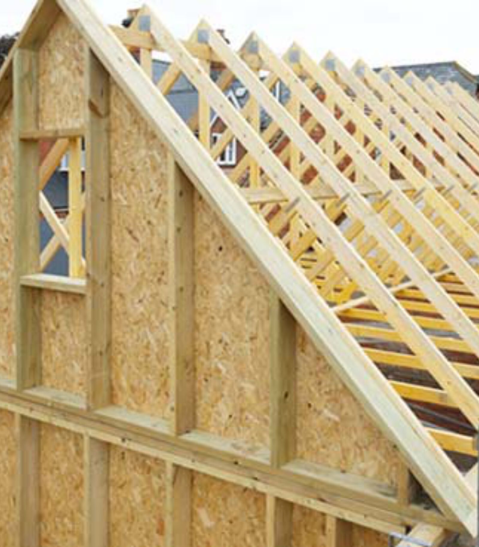 Naaldhout uit verantwoord beheerde bossen | Hout - Bois van Steenberge