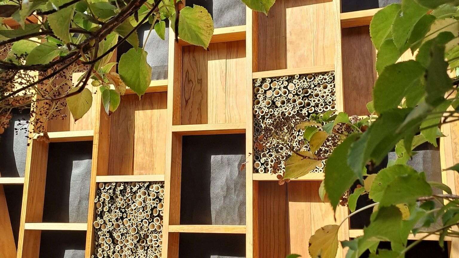 Lignia tuinhuis met insectenhotel | Hout - Bois van Steenberge