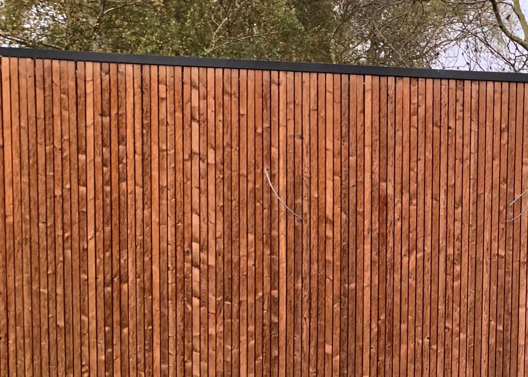 Finti® | Hout - Bois van Steenberge