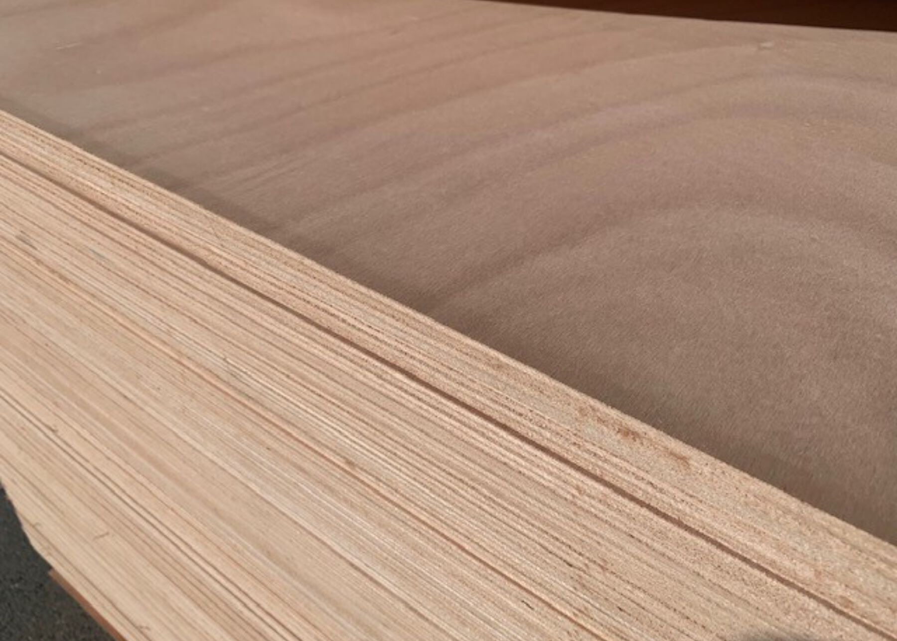 Structural, industrial & carpentry panels | Hout - Bois van Steenberge