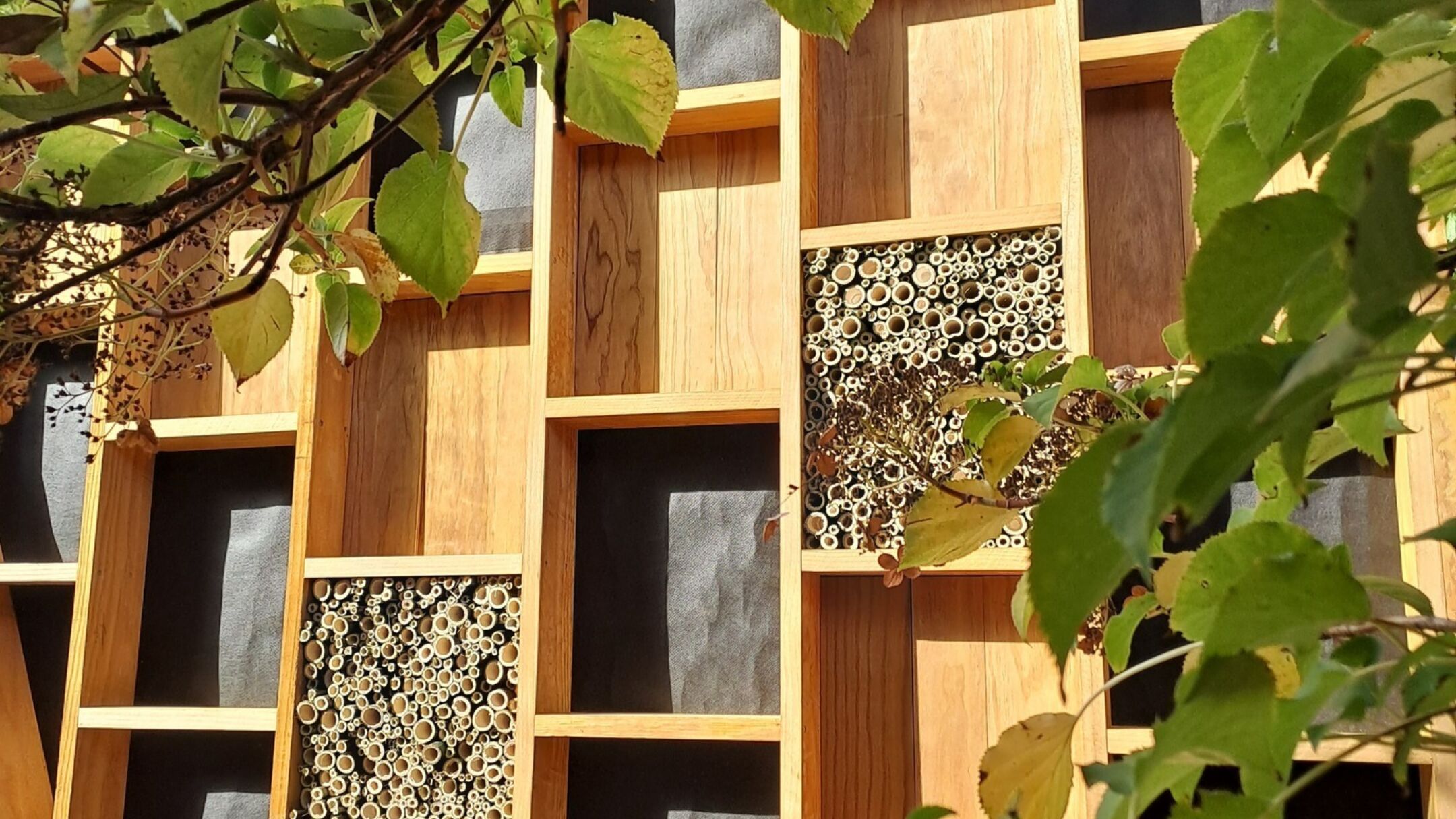 Lignia tuinhuis met insectenhotel | Hout - Bois van Steenberge