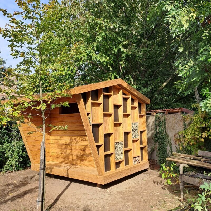 Lignia terras | Hout - Bois van Steenberge